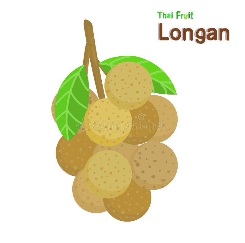 Cartoon Longan Stock Illustrations – 795 Cartoon Longan Stock ...