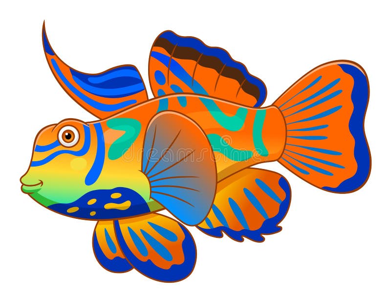 Mandarin Fish at the Bottom of Sea with Algae, Flat Realistic Drawing ...
