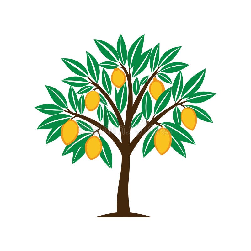 Cartoon Mango Tree Vector Illustration Stock Illustrations – 536 ...