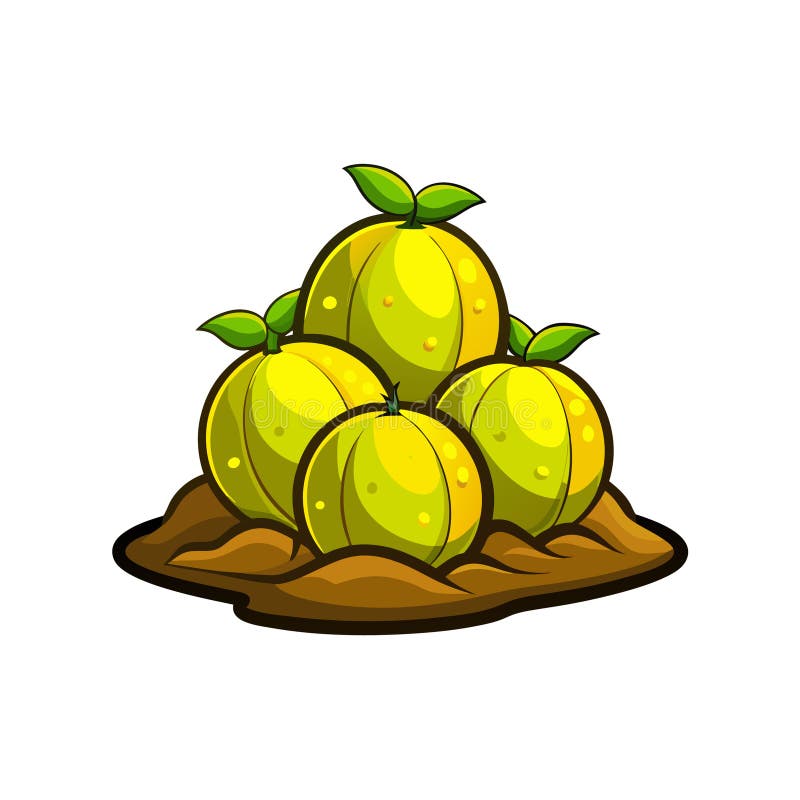 Cartoon Melon Patch: Fresh Yellow Melons in Soil Stock Illustration ...