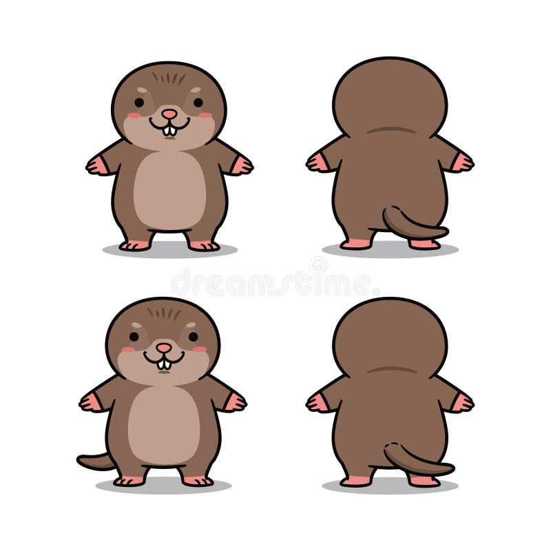 Cartoon Mole Animal Front and Back View Vector Illustrations for Tshirt ...