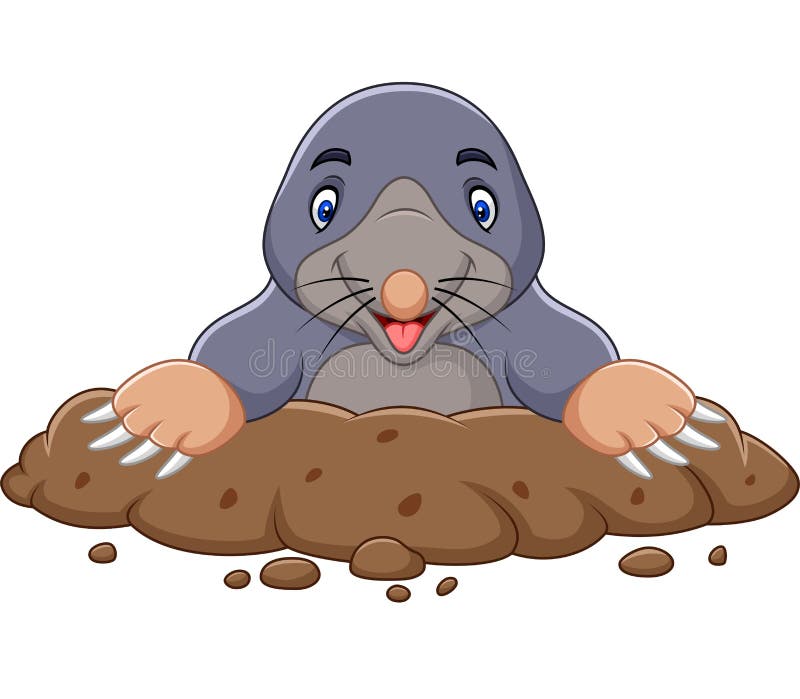 Cartoon Mole Stock Illustrations – 3,309 Cartoon Mole Stock ...