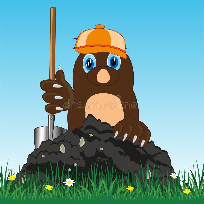 Cartoon of the Mole with Shovel Digging Land Stock Vector ...