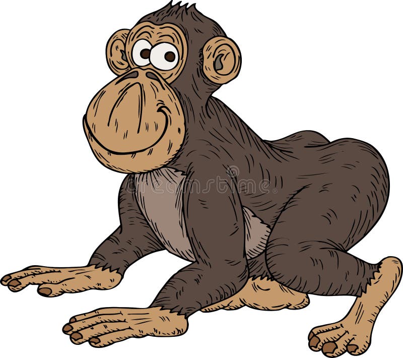 Cartoon Monkey Stock Images - Image: 18484514