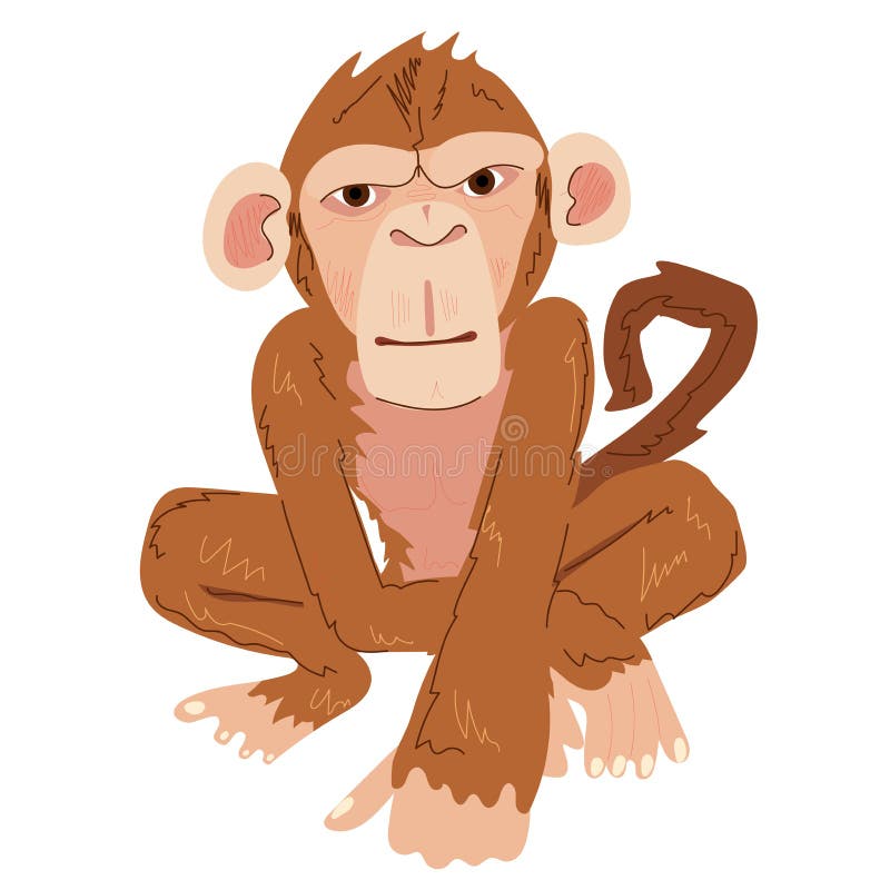 Monkey Squatting Stock Illustrations – 12 Monkey Squatting Stock ...