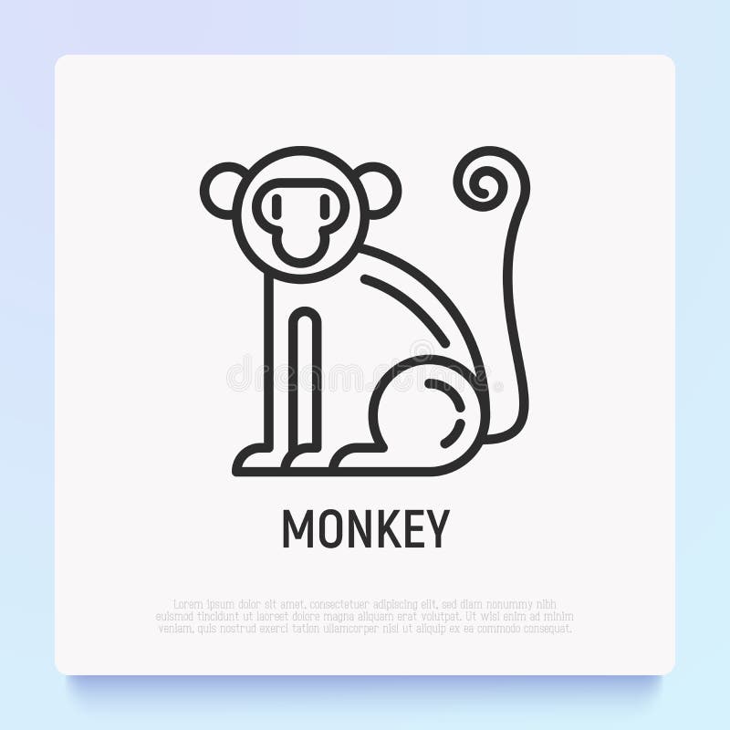 Monkey Thin Line Icon, Worldwildlife Concept, Monkey Vector Sign on ...