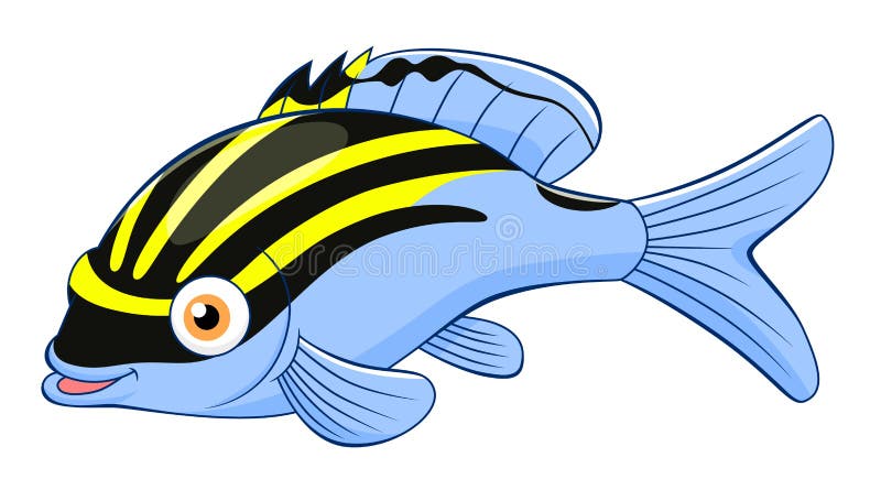 Monocle Bream Stock Illustrations – 2 Monocle Bream Stock Illustrations ...