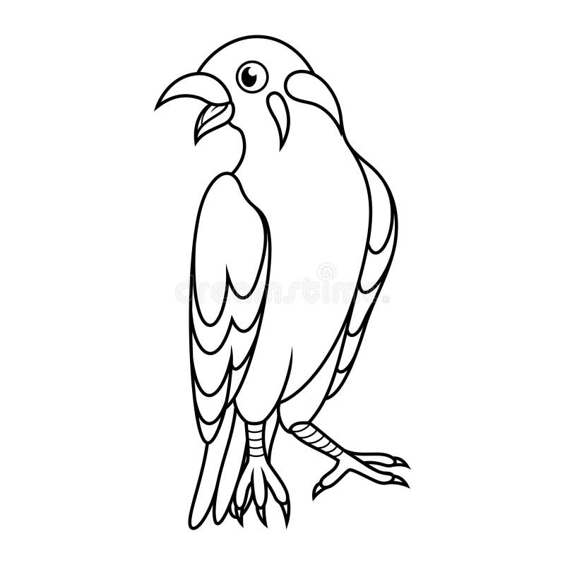 Cartoon myna bird line art stock illustration. Illustration of sketch ...