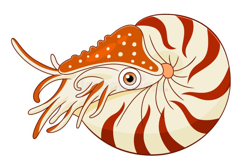 Cartoon Nautilus Squid with Thought Bubble Stock Vector - Illustration ...