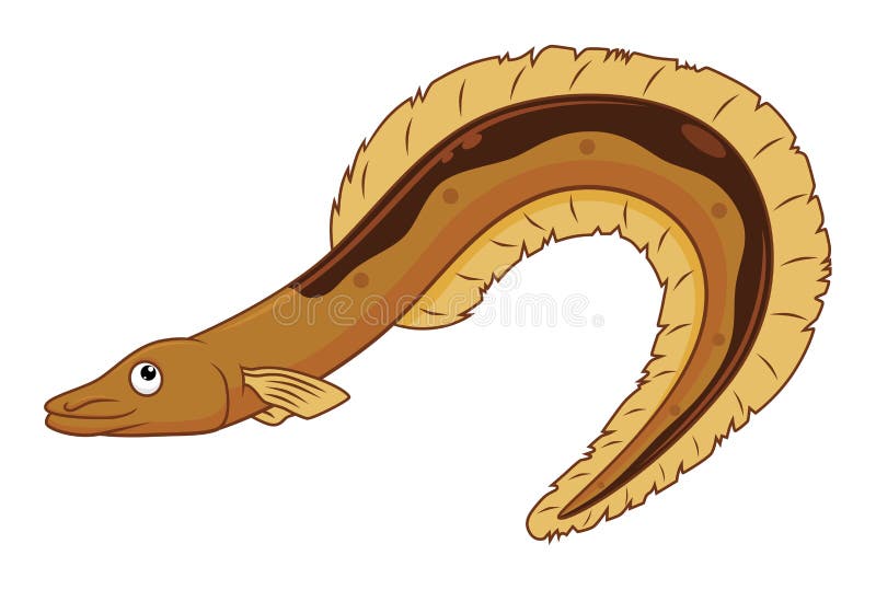 Smiling Eel Stock Illustrations – 60 Smiling Eel Stock Illustrations ...