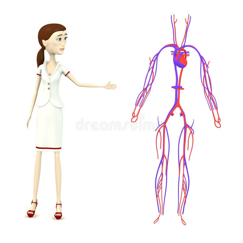 Circulatory system stock illustration. Illustration of paint - 35698392