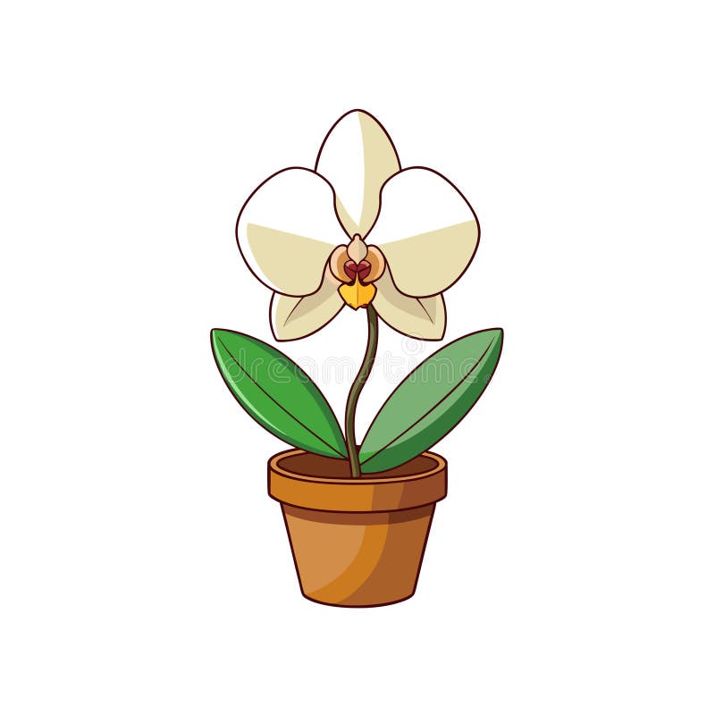 Cartoon Orchid Flower in a Pot Illustration Stock Image - Illustration ...