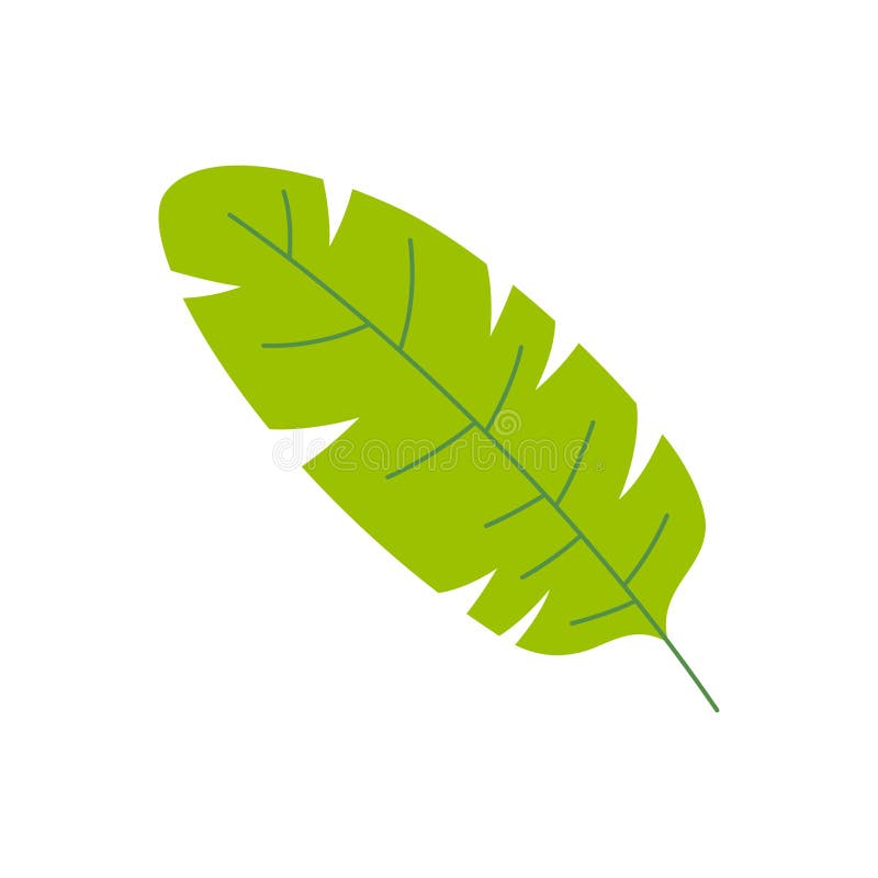 Cartoon Palm Branches Isolated on White Background Stock Vector ...