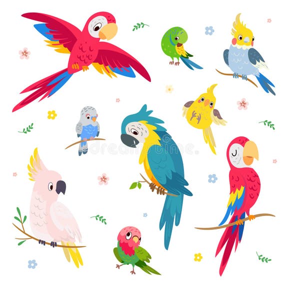 Cockatoo Collection Stock Illustrations 7745 Cockatoo Collection