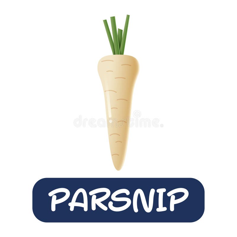 Cartoon Parsnip Stock Illustrations – 681 Cartoon Parsnip Stock ...