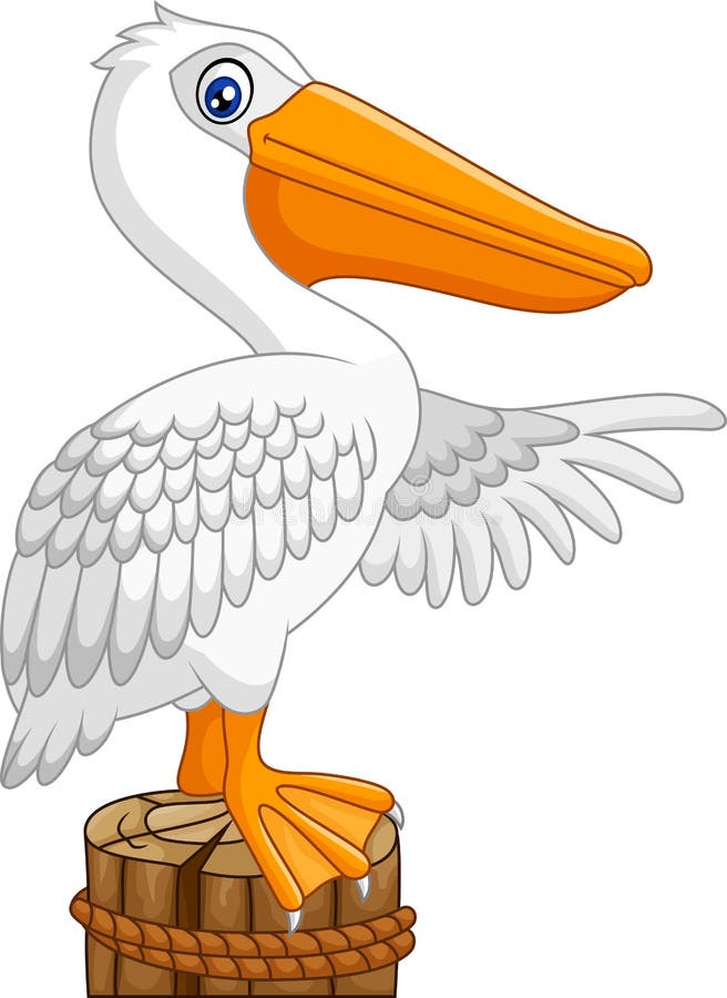Cartoon Pelican Stock Illustrations – 4,376 Cartoon Pelican Stock ...