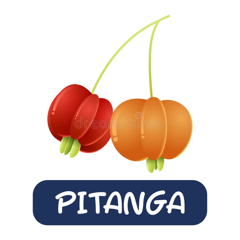 Cartoon Pitanga Fruit Vector Stock Illustrations – 9 Cartoon Pitanga ...