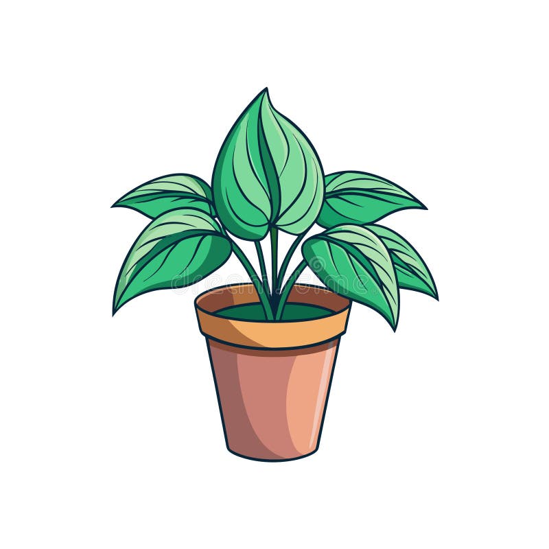 Cartoon Plant in Pot Illustration Isolated Stock Illustration ...