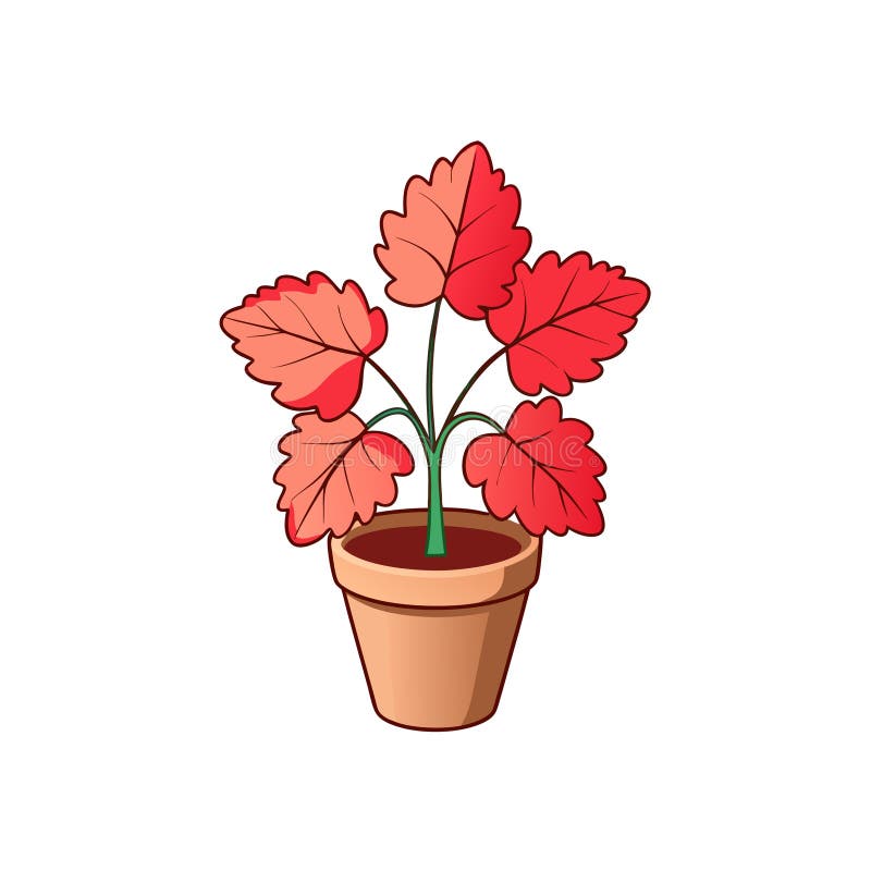 Cartoon Plant in Pot with Red Leaves Stock Illustration - Illustration ...