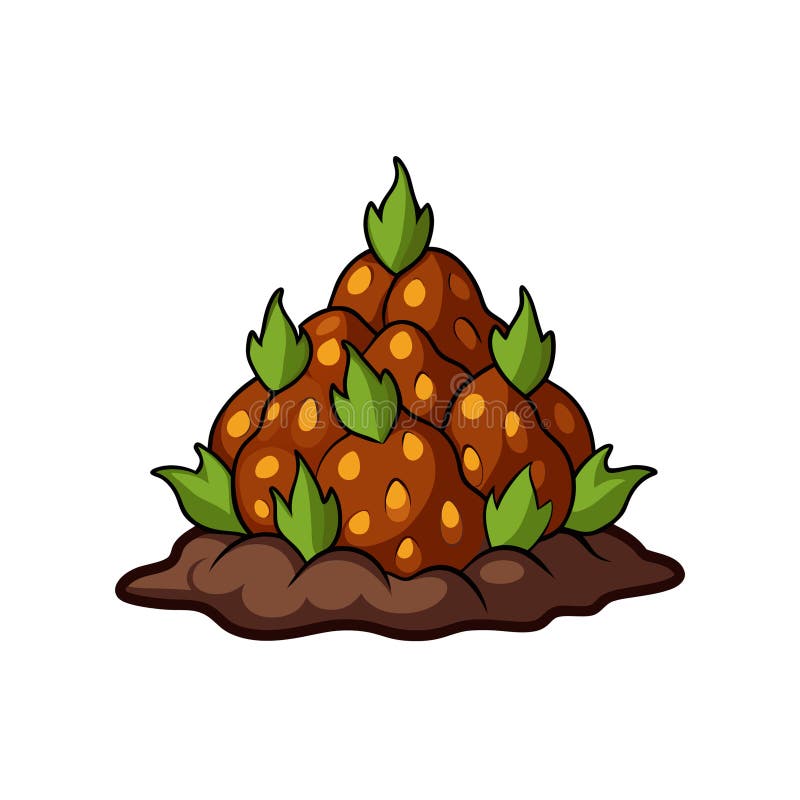 Cartoon Potato Plant in Mound of Soil Illustration Stock Image ...