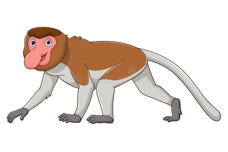 Cartoon Proboscis Monkey on White Background Stock Vector ...