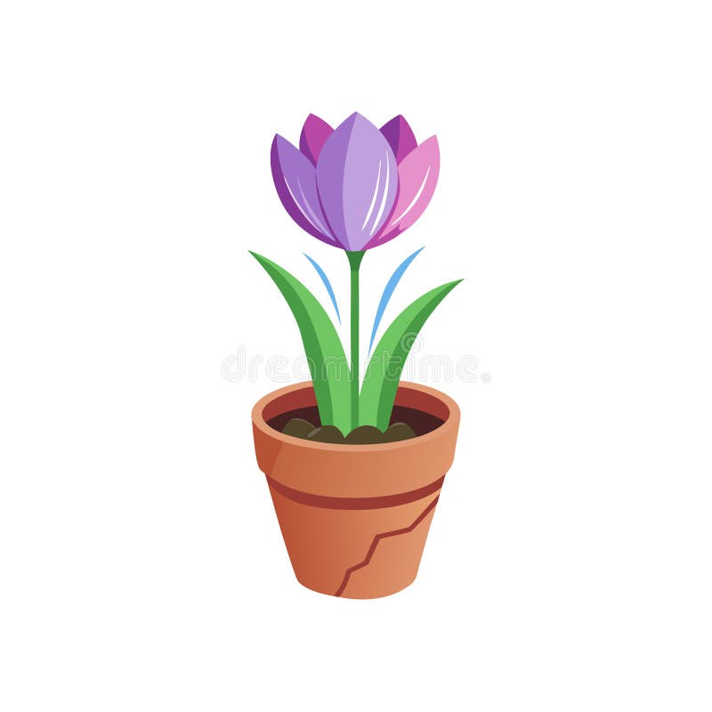 Cartoon Purple Crocus in Pot Illustration Stock Illustration ...