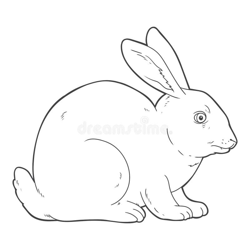Cartoon rabbit stock illustration. Illustration of icon - 259747831