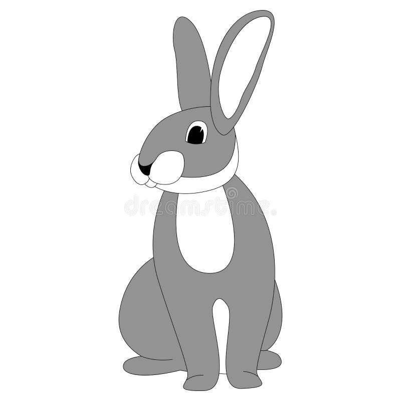 Cartoon Rabbit, Vector Illustration , Front Stock Vector - Illustration ...