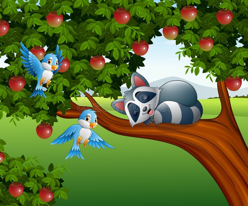 Cartoon Raccoon On The Tree Branch Stock Vector - Illustration of ...