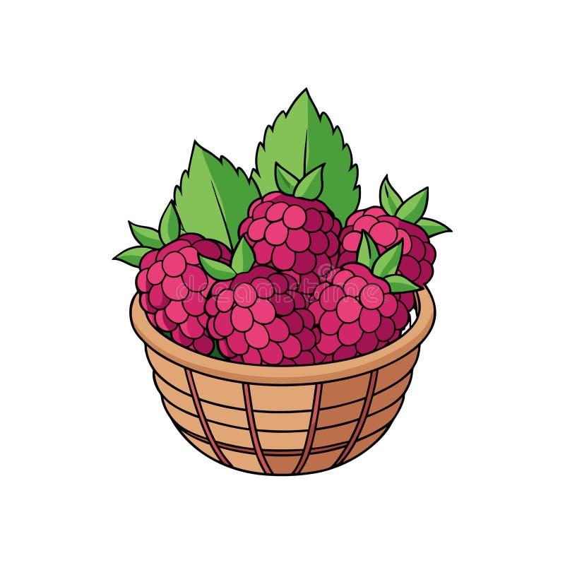 Cartoon Raspberries in Basket with Leaves on White Stock Illustration ...