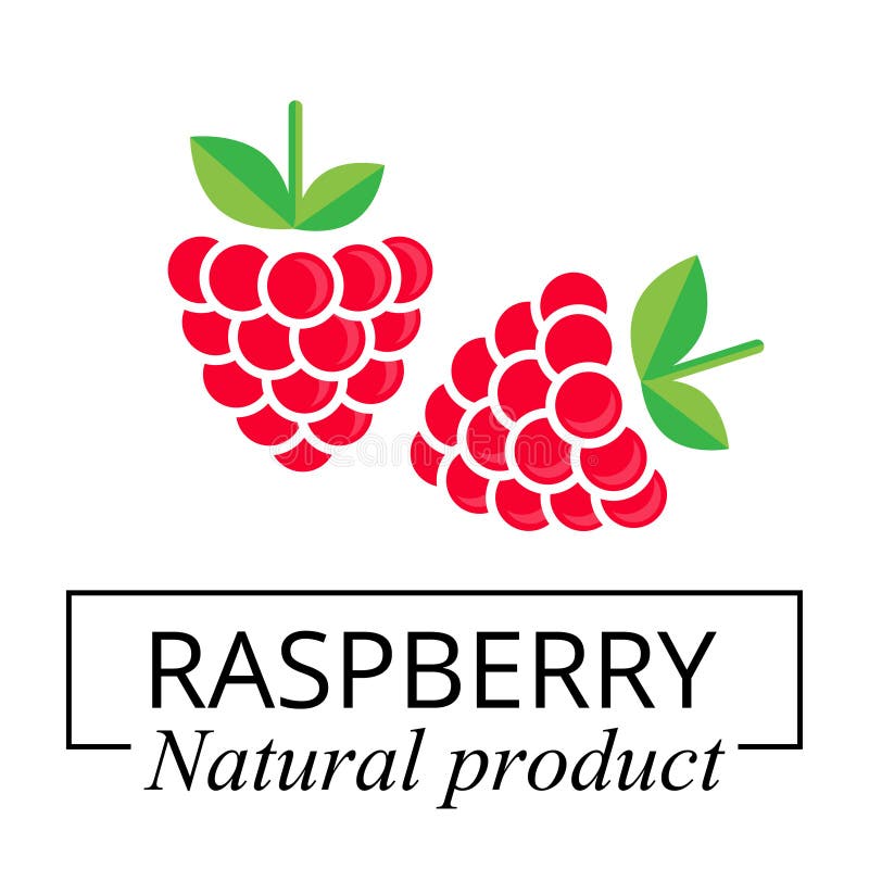 Raspberry Jam Label Template Design. Vector Illustration Stock ...