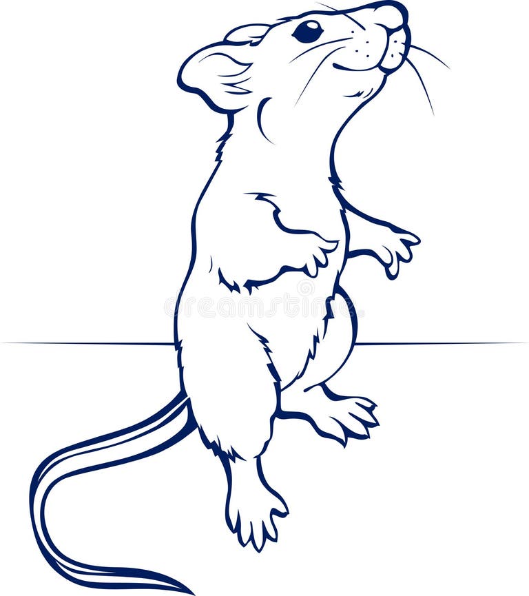 Rat Stock Illustrations – 79,760 Rat Stock Illustrations, Vectors ...