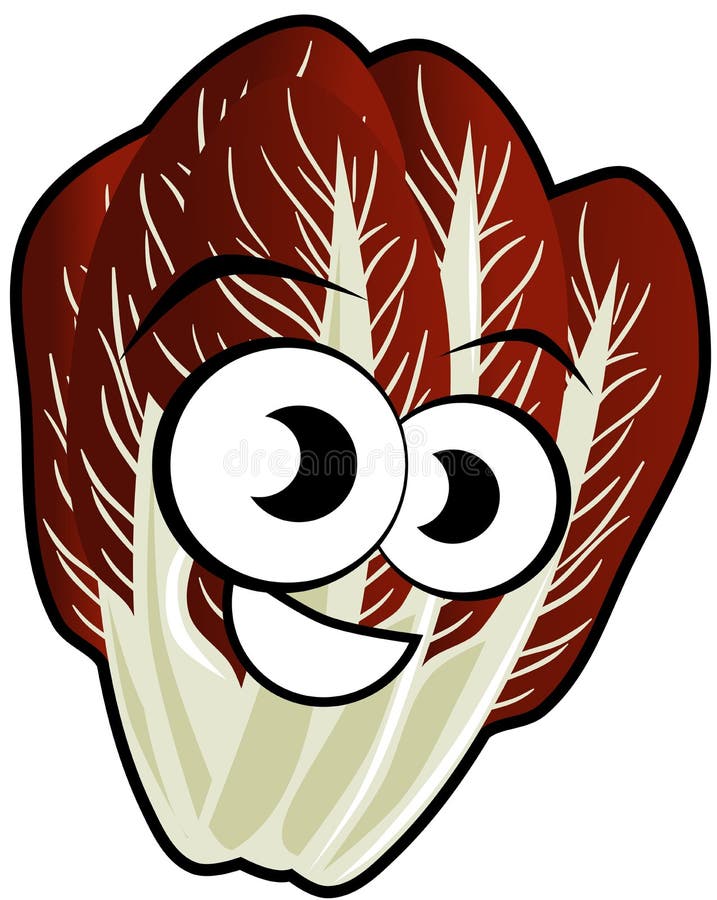 Cartoon Red Chicory Isolated Illustration Stock Illustration ...