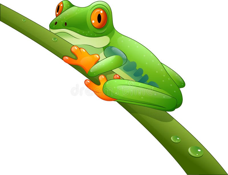 Cartoon Red-Eyed Amazon on Branch Stock Vector - Illustration of nature ...