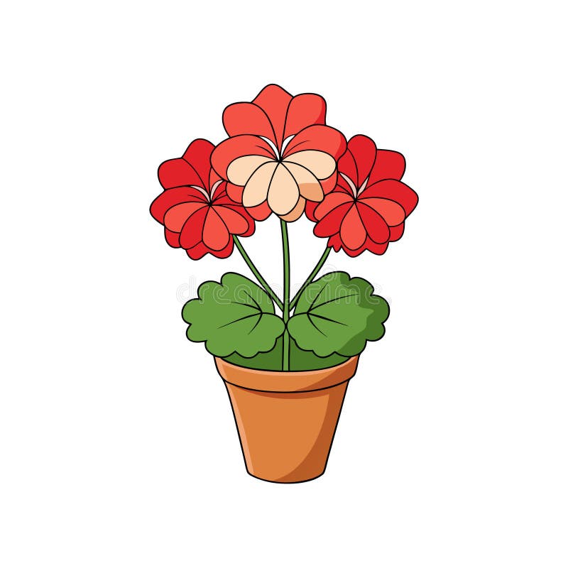 Cartoon Red Geranium in a Pot Illustration Stock Illustration ...