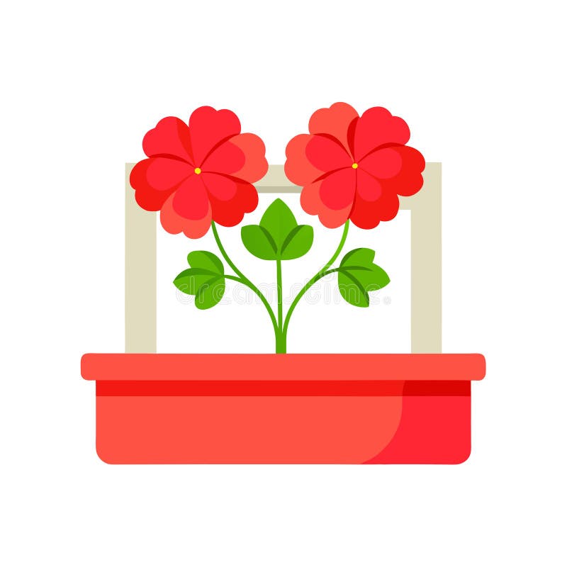 Cartoon Red Geraniums in Rectangular Pot on Window Sill Illustration ...