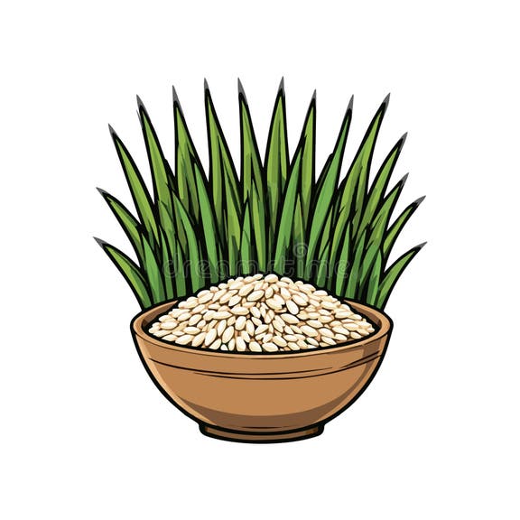 Cartoon Rice Grain Illustration Vector. White Background Rice Vector ...
