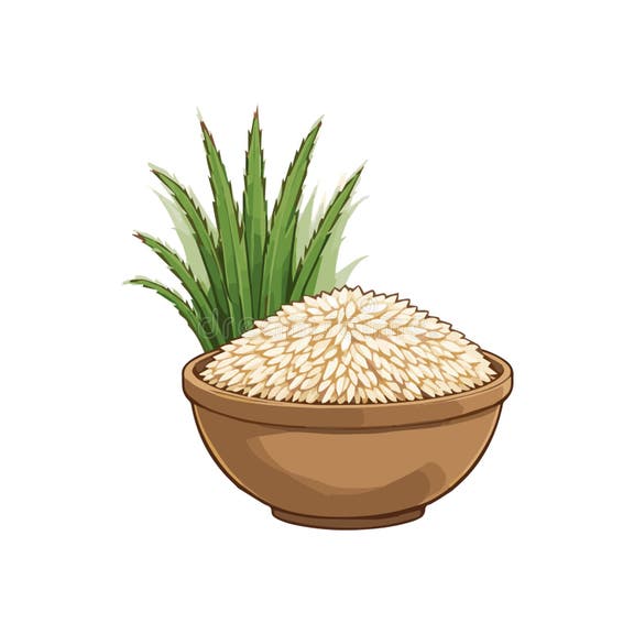 Cartoon Rice Grain Illustration Vector. White Background Rice Vector ...