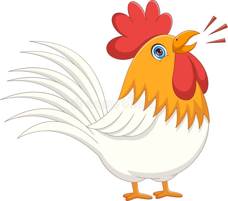Cartoon rooster crowing stock vector. Illustration of agriculture ...