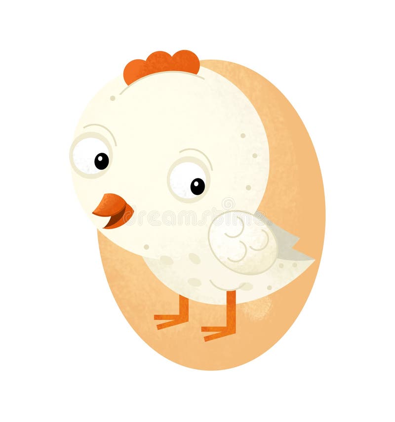 Cartoon Scene with Chicken on White Background Stock Illustration ...