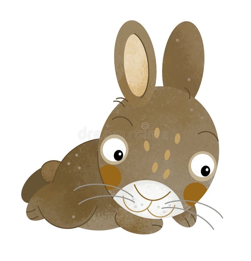 Wacky Rabbit Stock Illustrations – 33 Wacky Rabbit Stock Illustrations ...