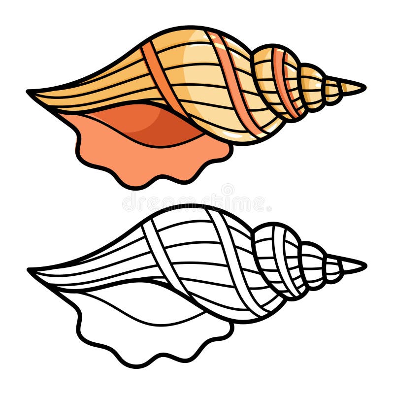 Cartoon Shell Colored Stock Illustrations – 1,854 Cartoon Shell Colored ...