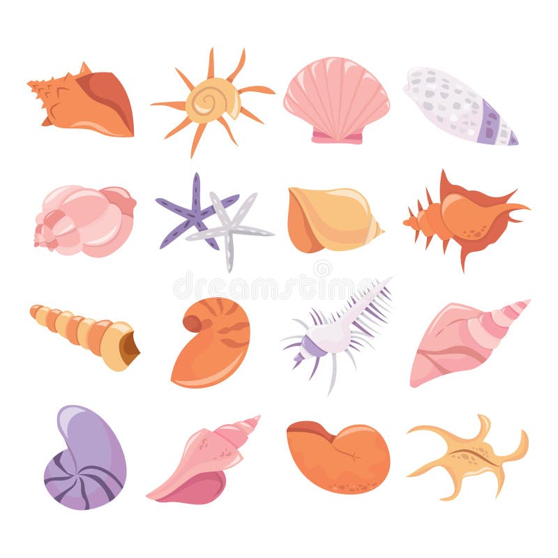 Cartoon Seashell Set stock vector. Illustration of vector - 241030066