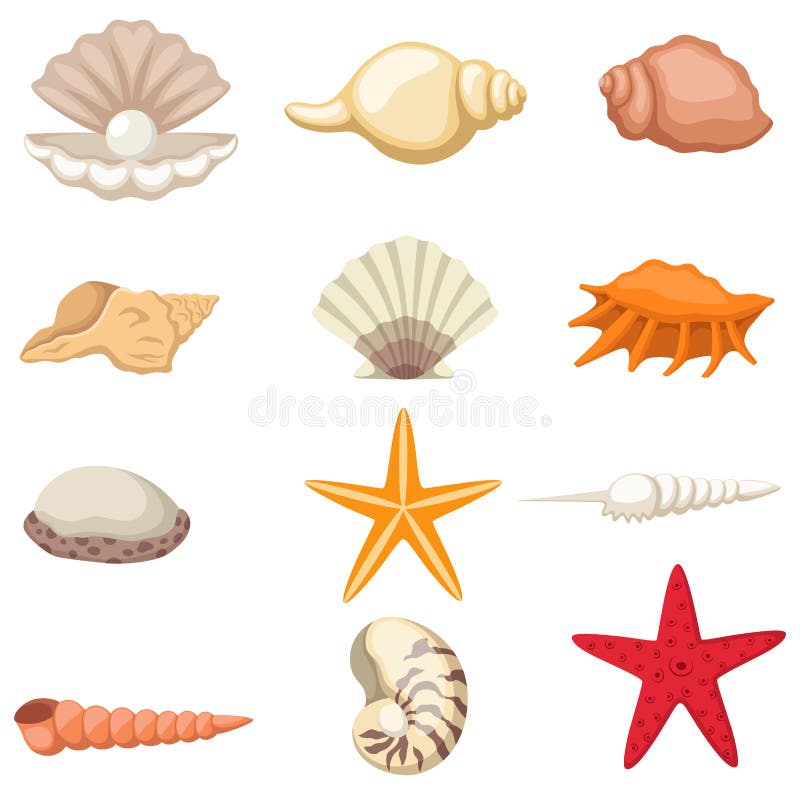 Seashells Collection of Colorful Underwater Fossils in Cartoon Style ...
