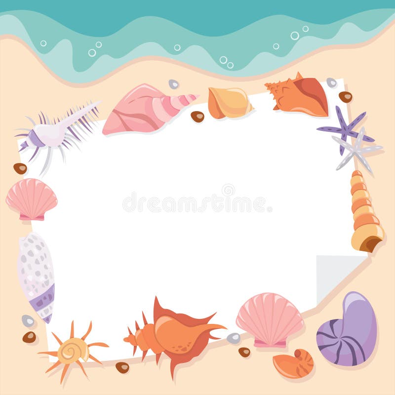 Cartoon Seashells Set Isolated on White Background Stock Vector ...