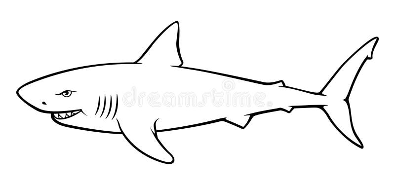 Great White Shark Vector Outline Stock Illustrations – 1,061 Great ...