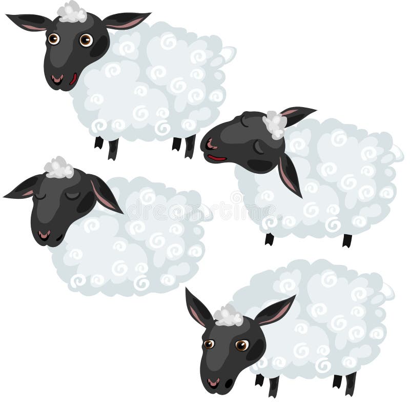 Mutton Animal Stock Illustrations – 4,952 Mutton Animal Stock ...