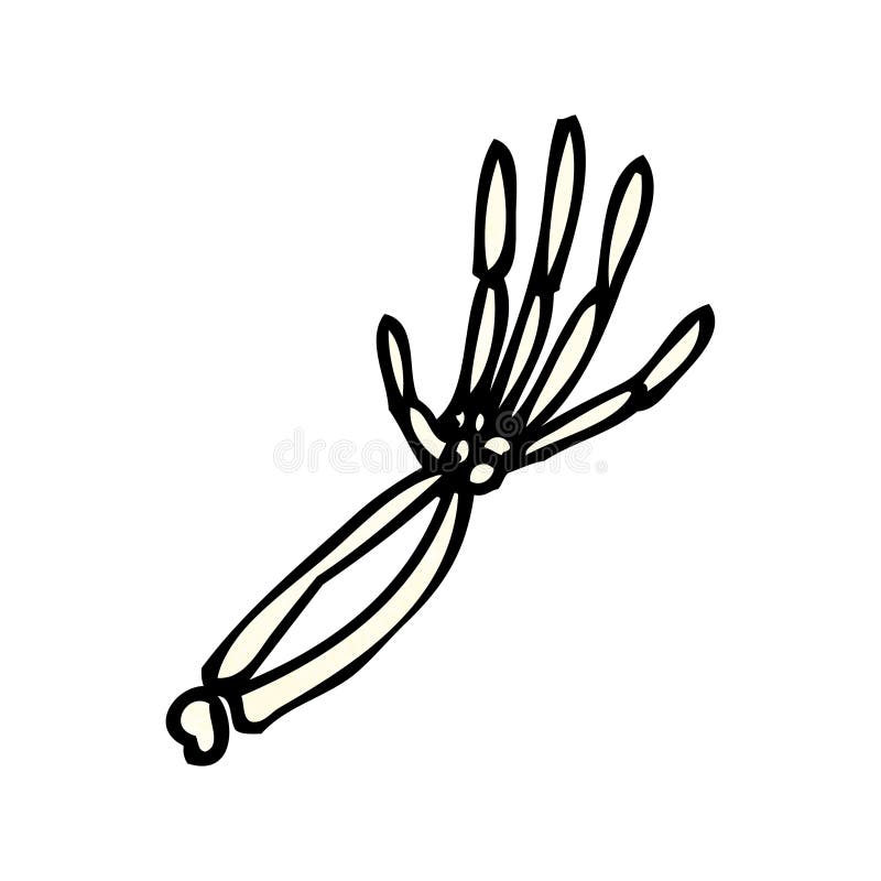 Cartoon skeleton arm stock vector. Illustration of hand - 38040532
