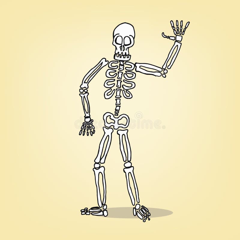 Skeleton Waving Stock Illustrations – 542 Skeleton Waving Stock ...