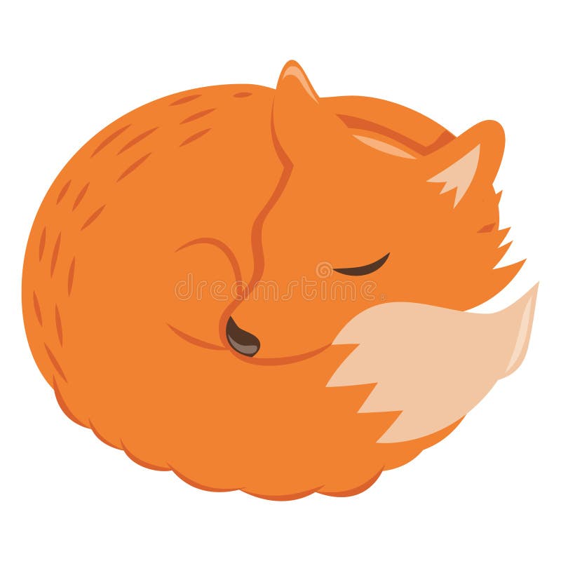 Cartoon Sleeping Fox stock vector. Illustration of cartoon - 267824607